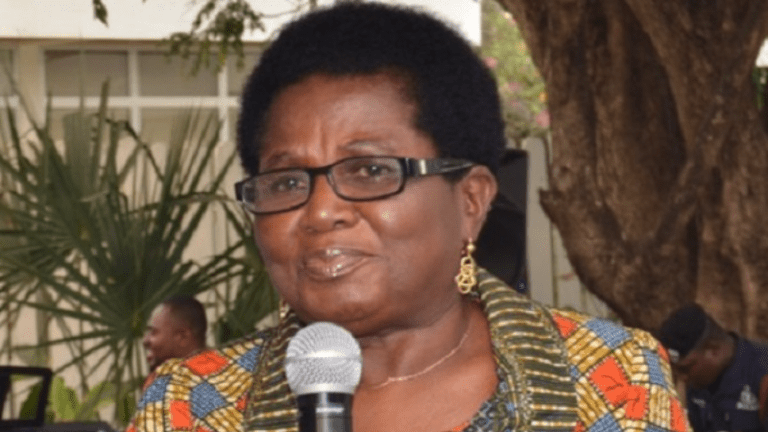 Nana Addo appoints Elizabeth Ohene as the board chair of SSNIT – Accra Mail